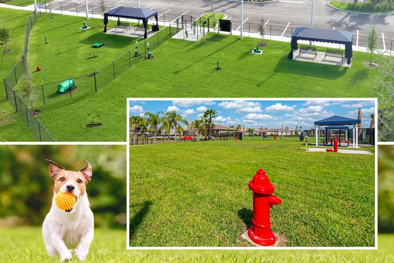 DISCOVER THE DOG PARK AT VALENCIA TRAILS | Florida Real Estate - GL Homes